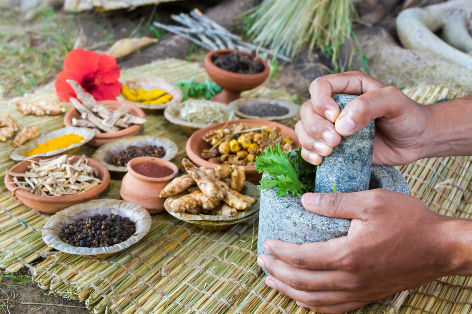 Ayurveda: la salud basada en el balance - Revestida